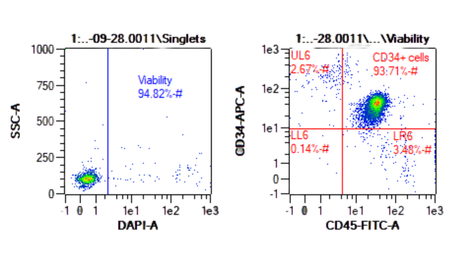 Whole Cord Blood, Fresh, CPD | CGT Global