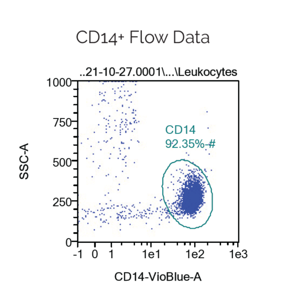 Peripheral Blood CD14+ Monocytes, Frozen | CGT Global