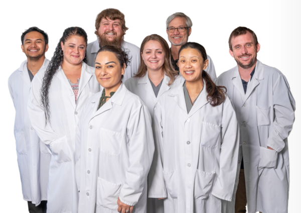 Buy Leukopaks - Medical Research - CGT Global