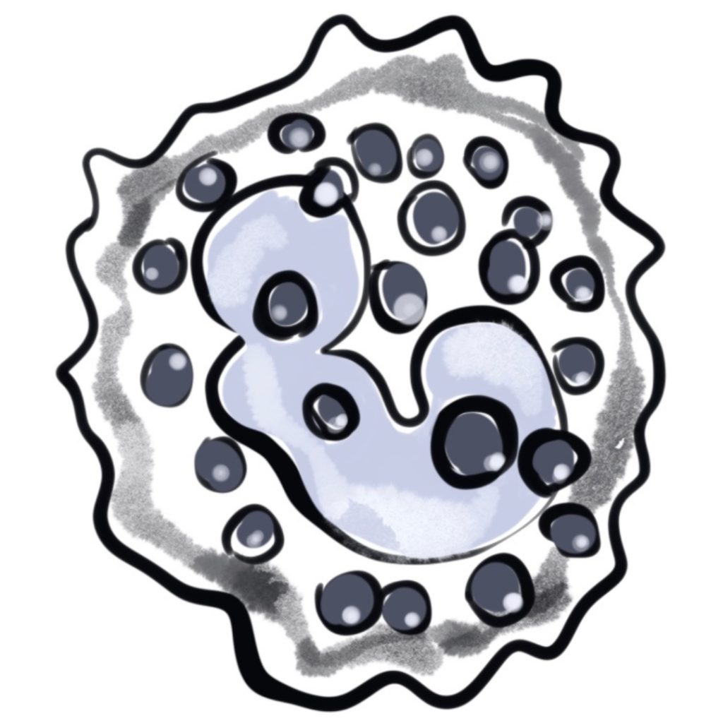 CGT Global Donors - CGT Global