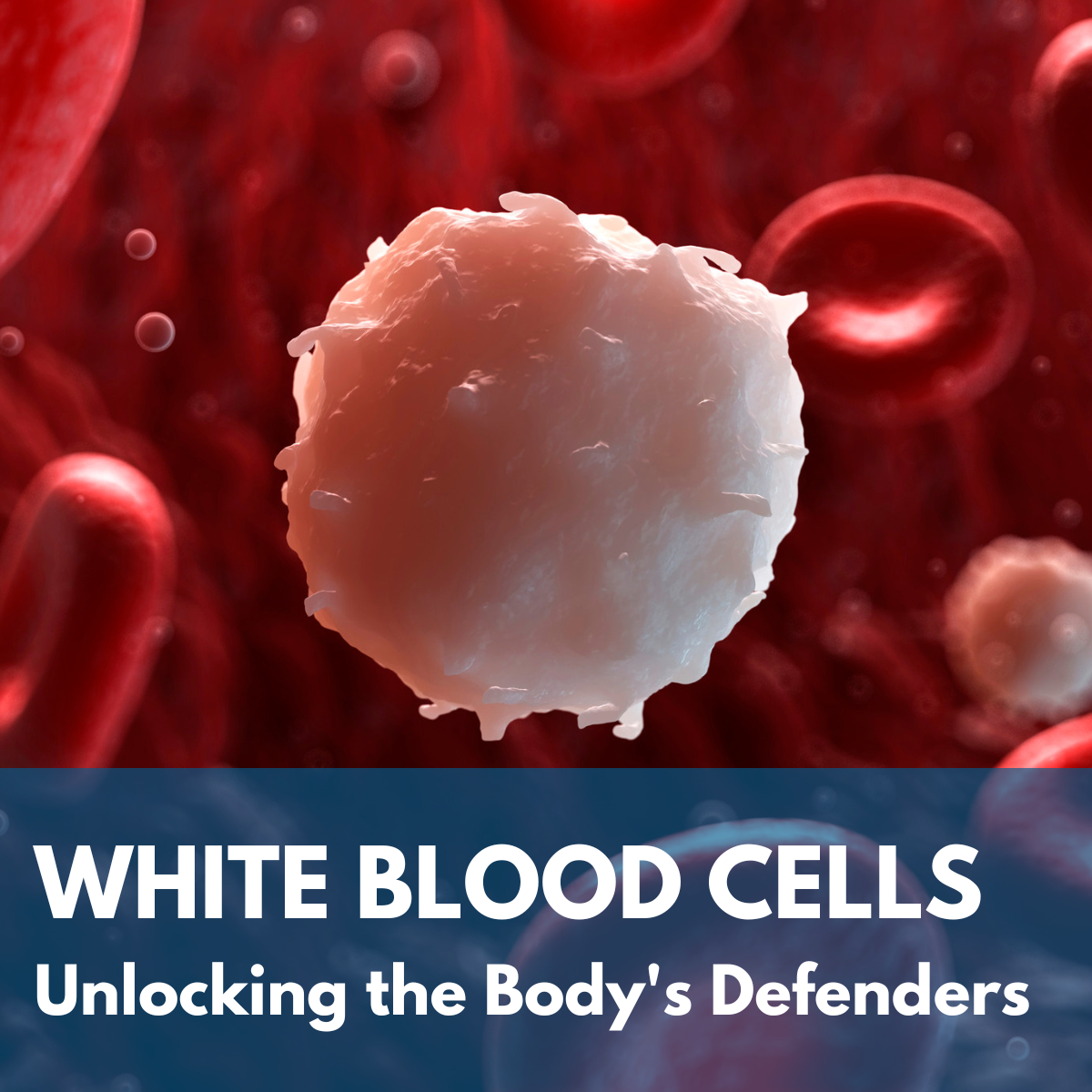 White Blood Cells: Unlocking the Body's Defenders - CGT Global