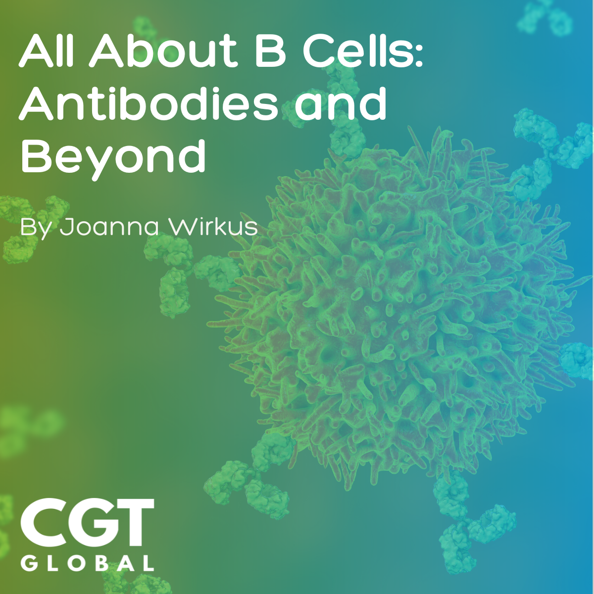 All About B Cells: Antibodies and Beyond - CGT Global