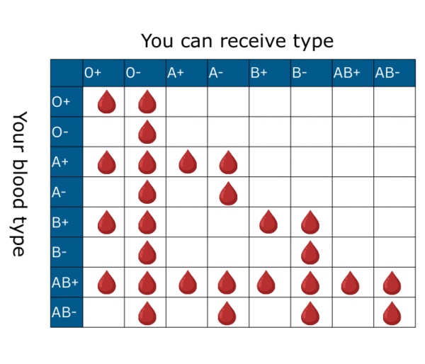 Blood Types Explained - CGT Global